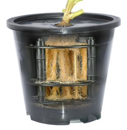 AEROGROW 19 AEROPONIK SYSTEMS, INDOORLINE - Indoor Growing Attitude